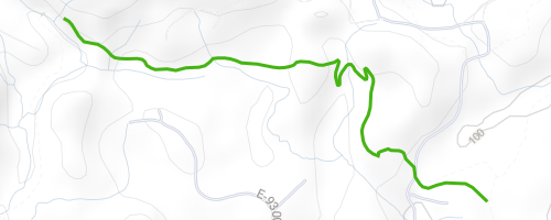 Mima Falls Trail East Mountain Biking Trail - Olympia