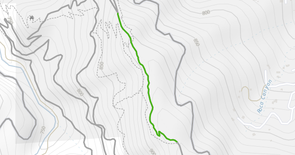 Mimsy Trail Mountain Biking Trail - Ashland, Oregon