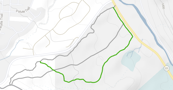Mills Peak Loop Trail Mountain Biking Trail - Graeagle