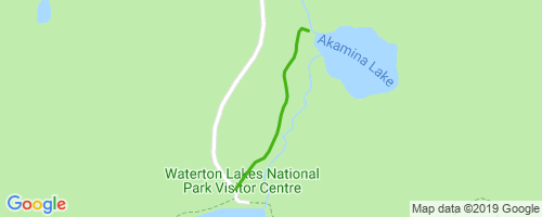 Akamina Lake Trail Hiking Trail - Waterton, AB