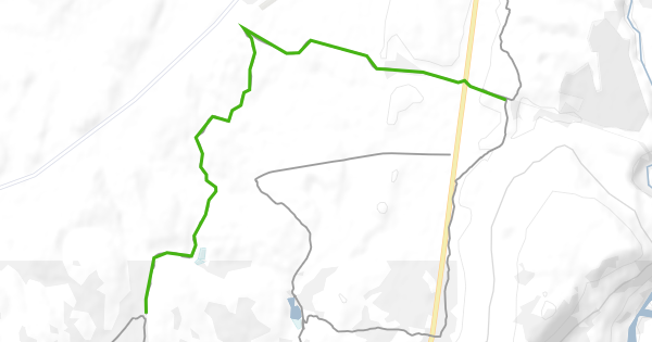 Baynes Lake North Multi Trail - Baynes Lake, BC