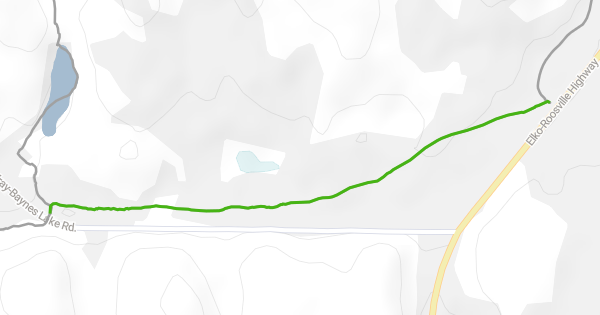 Baynes Lake Meadows Multi Trail - Baynes Lake, BC