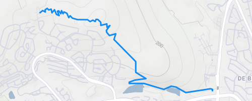 Majik Forest lower Multi Trail - Durbanville