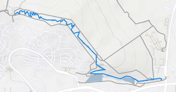 Majik Forest lower Multi Trail - Durbanville