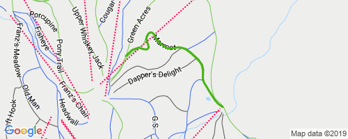 Marmot Skiing Trail - Whistler, British Columbia