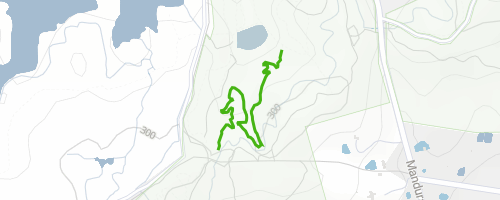 Spring Gully Green Circle Trail Up Mountain Biking Trail - Bendigo