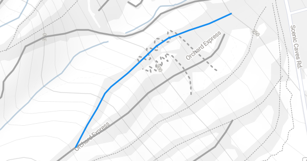Butternut Skiing Trail - Blue Mountain Resort, Ontario