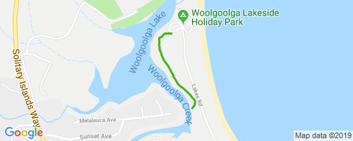 Flying Fox Mountain Biking Trail - Coffs Harbour