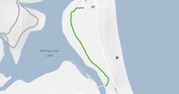 Flying Fox Mountain Biking Trail - Coffs Harbour