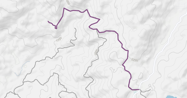 Beasore Loop Multi Trail - Bass Lake, CA | Trailforks