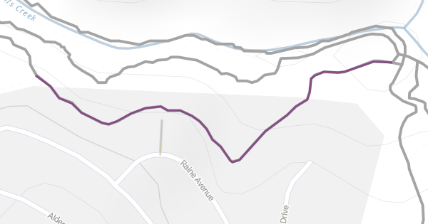 The climb of sumyung-gai Mountain Biking Trail - Hornsby