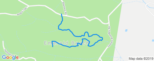 The Rabbit Warren Mountain Biking Trail - Coffs Harbour