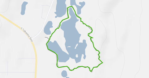 X Lake Loop Mountain Biking Trail - Talkeetna, Alaska