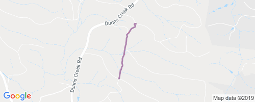 Mogo State Forest Compartment Multi Trail - Batemans Bay