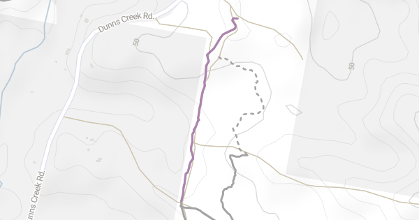 Mogo State Forest Compartment Multi Trail - Batemans Bay