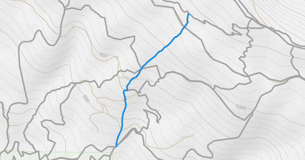 Cable Trail Mountain Biking Trail - Roslyn, Washington