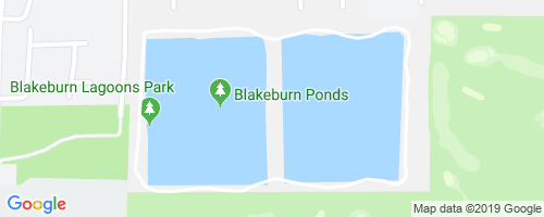 Blakeburn Lagoons Loop Hiking Trail - Port Coquitlam, BC