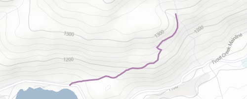 Pelly Access Trail Multi Trail - Princeton, BC