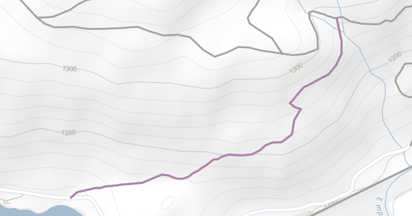 Pelly Access Trail Multi Trail - Princeton, BC