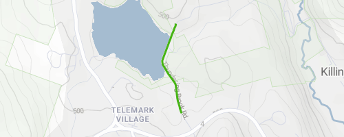 Kent Pond Trail Mountain Biking Trail - Killington