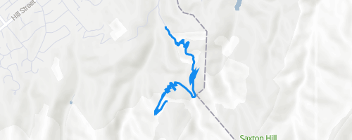 Alpha Mountain Biking Trail - Silvan Forest, Nelson