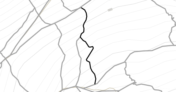 Five Knuckle Huckle Mountain Biking Trail - Nelson