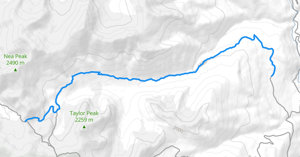 Taylor Creek Trail Multi Trail - Gold Bridge, BC
