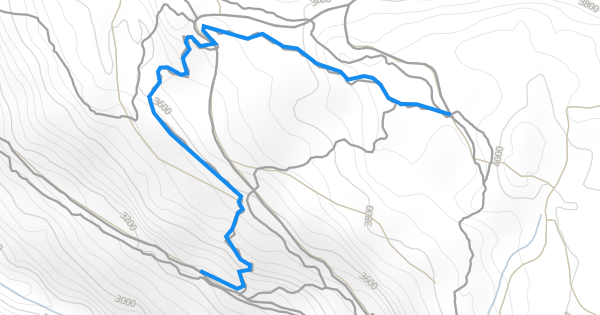 49er Mountain Biking Trail - Nelson, British Columbia