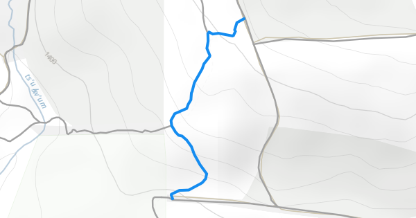 Ripped Nipple Mountain Biking Trail - Roberts Creek