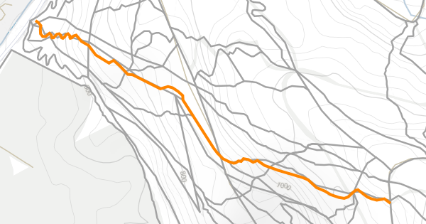 Cresta Run Mountain Biking Trail - Innerleithen