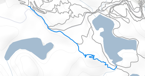 Razorback (Bike Park to Kager Lake) Mountain Biking Trail - Burns Lake