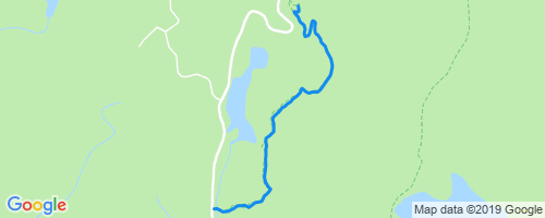 Mt. Constitution Summit View Trail Mountain Biking Trail - Eastsound