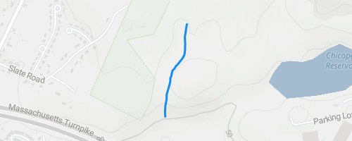 Roller Coaster Mountain Biking Trail - Chicopee, MA