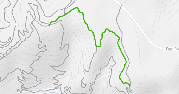 Upper Copperhead Road Multi Trail - Coos Bay, Oregon