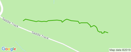 Gulaga Mountain Granite Tors Trail Hiking Trail - Narooma