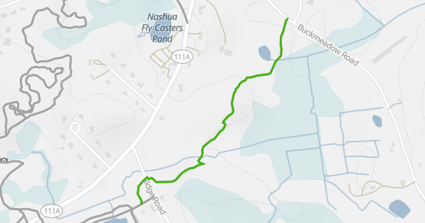Buck Meadow Conservation Trail Mountain Biking Trail - Nashua