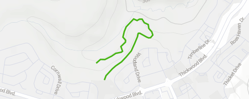 Moose Mountain Biking Trail - Fort McMurray, Alberta