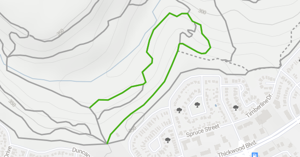 Moose Mountain Biking Trail - Fort McMurray, Alberta