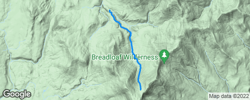 Emily Proctor Trail Hiking Trail - Warren, Vermont