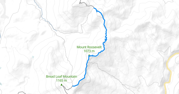 Long Trail - Emily Proctor Hiking Trail - Warren, Vermont