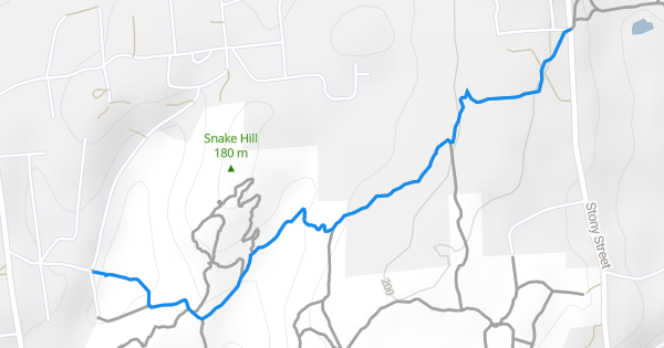 Taconic Bridge Trail (Sylvan Glen; Pink Blazes) Mountain Biking Trail ...