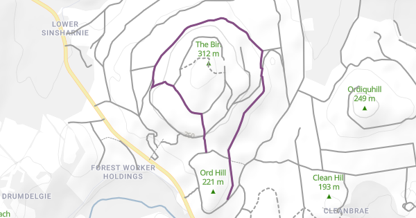 The Bin Forest Yellow route Multi Trail - Huntly