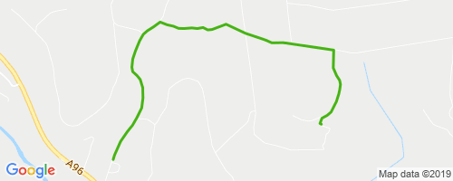 The Bin Forest Blue route Multi Trail - Huntly