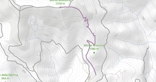 Alpe del Vicerè - Monte Bolettone Multi Trail