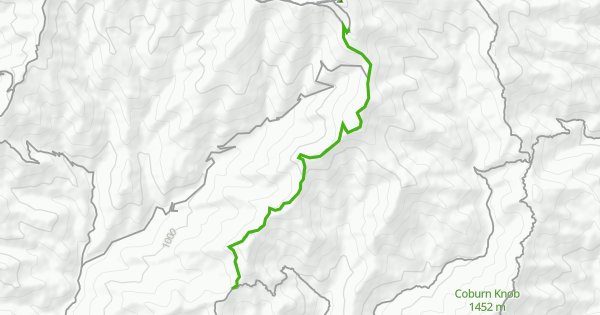 Forney Ridge Trail Hiking Trail - Fontana Dam, NC