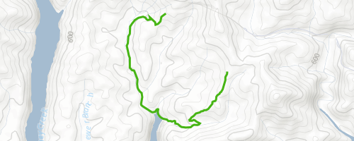 Goldmine Loop Trail Hiking Trail - Fontana Dam, NC
