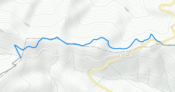 Appalachian Trail - Newfound Gap Hiking Trail - Bryson City