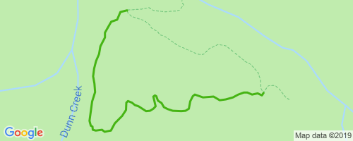 Albright Grove Loop Trail Hiking Trail - Gatlinburg