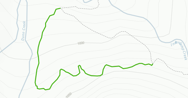 Albright Grove Loop Trail Hiking Trail - Gatlinburg
