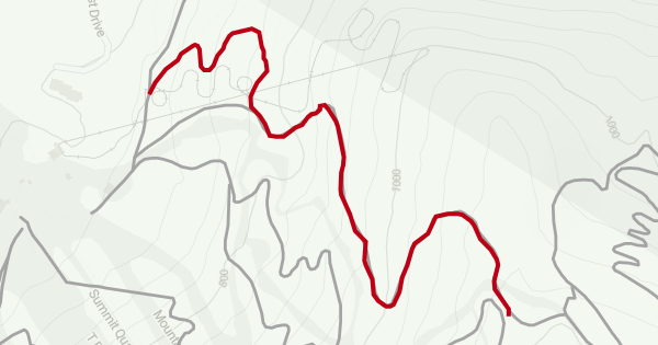 Cliff Claven Multi Trail - Charlemont, Massachusetts